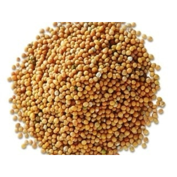 Mostarda em Grão no Empório Rosa | Envio para todo Brasil