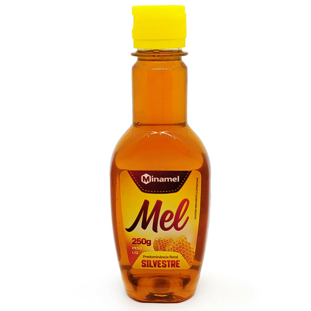 Mel Multifloral Bisnaga 250g Minamel no Empório Rosa